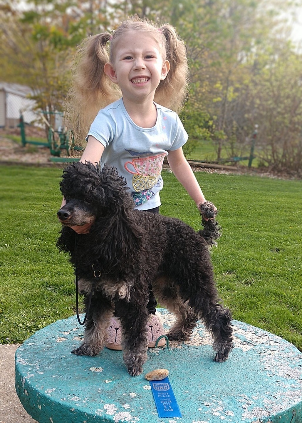 About – APAW – Poodle Pups for Working Roles